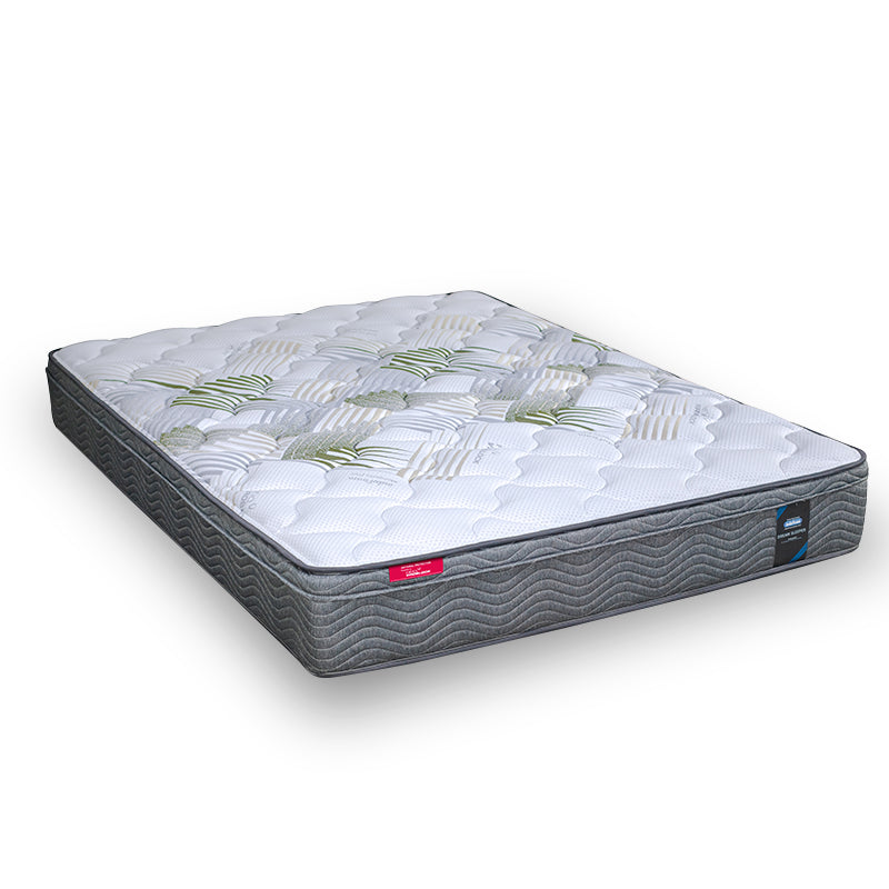 Camas y colchones Indufoam Dream Sleeper | Beds and Dreams – Beds & Dreams